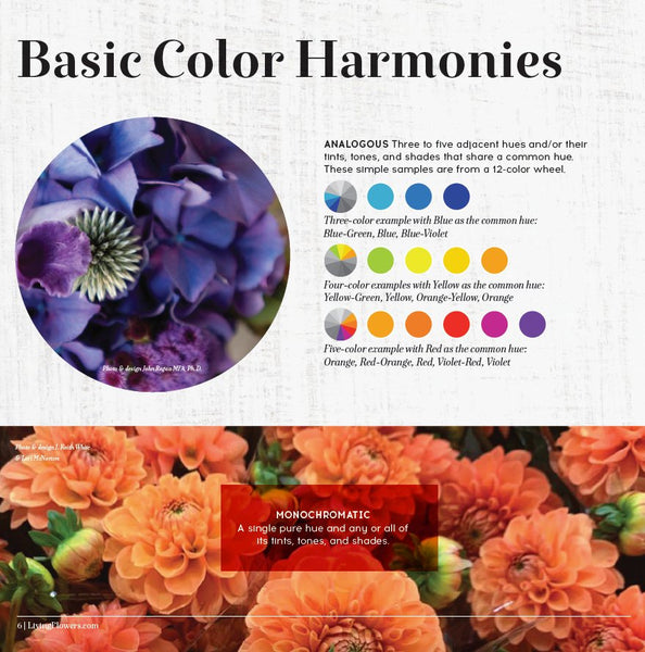 Florists' Color Wheel: A Guide to Floral Design Color Theory ...
